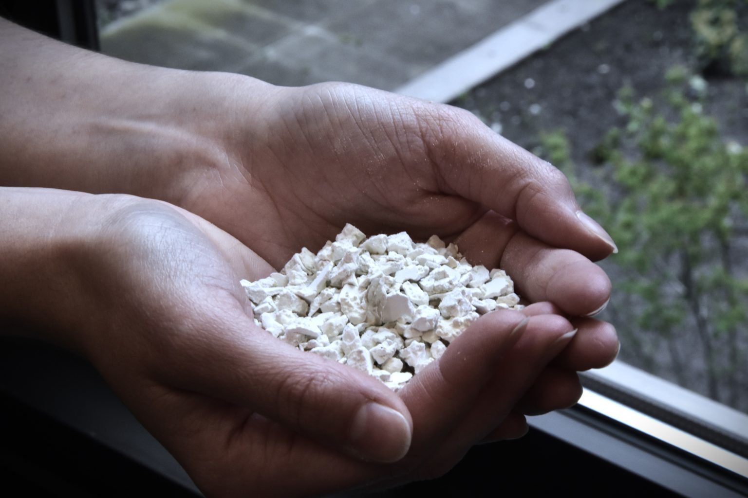 News - Paques biomaterials